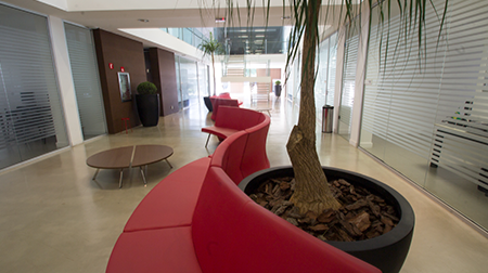 Guia de Branding Brasal