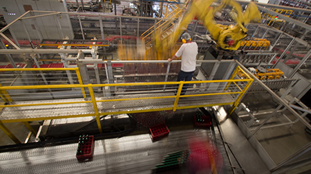 Guia de Branding Brasal